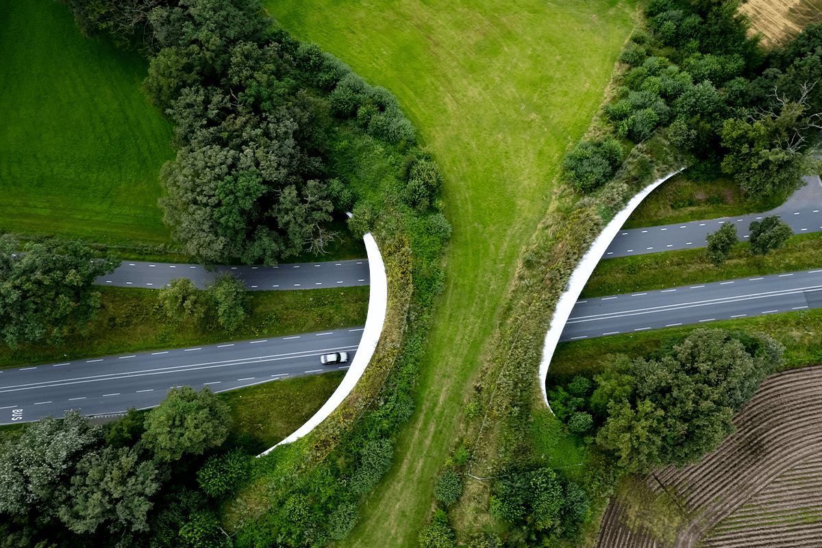 Green infrastructure: how nature can improve urban living